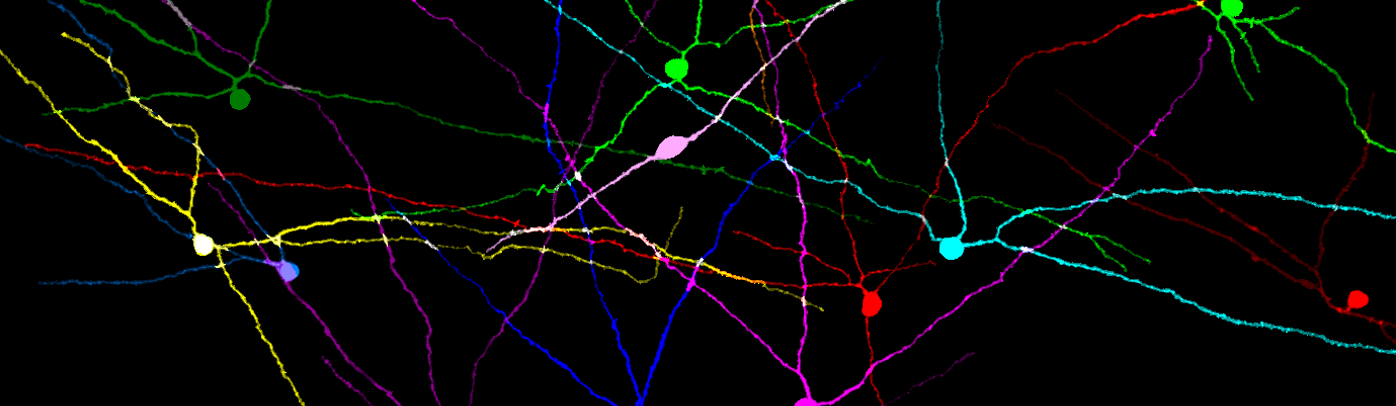 Faculty Directory: Northwestern University Interdepartmental ...